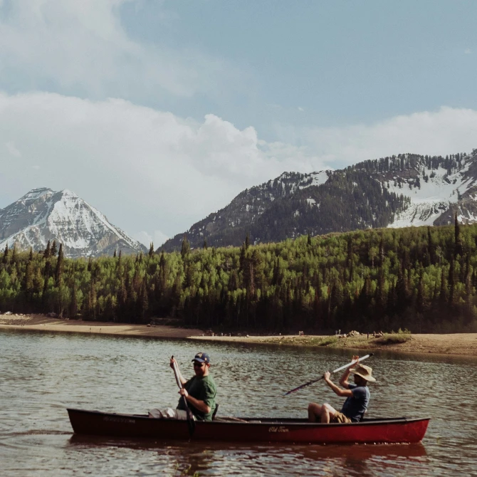 Guide: Your retirement choices: How to generate an income in later life ...
